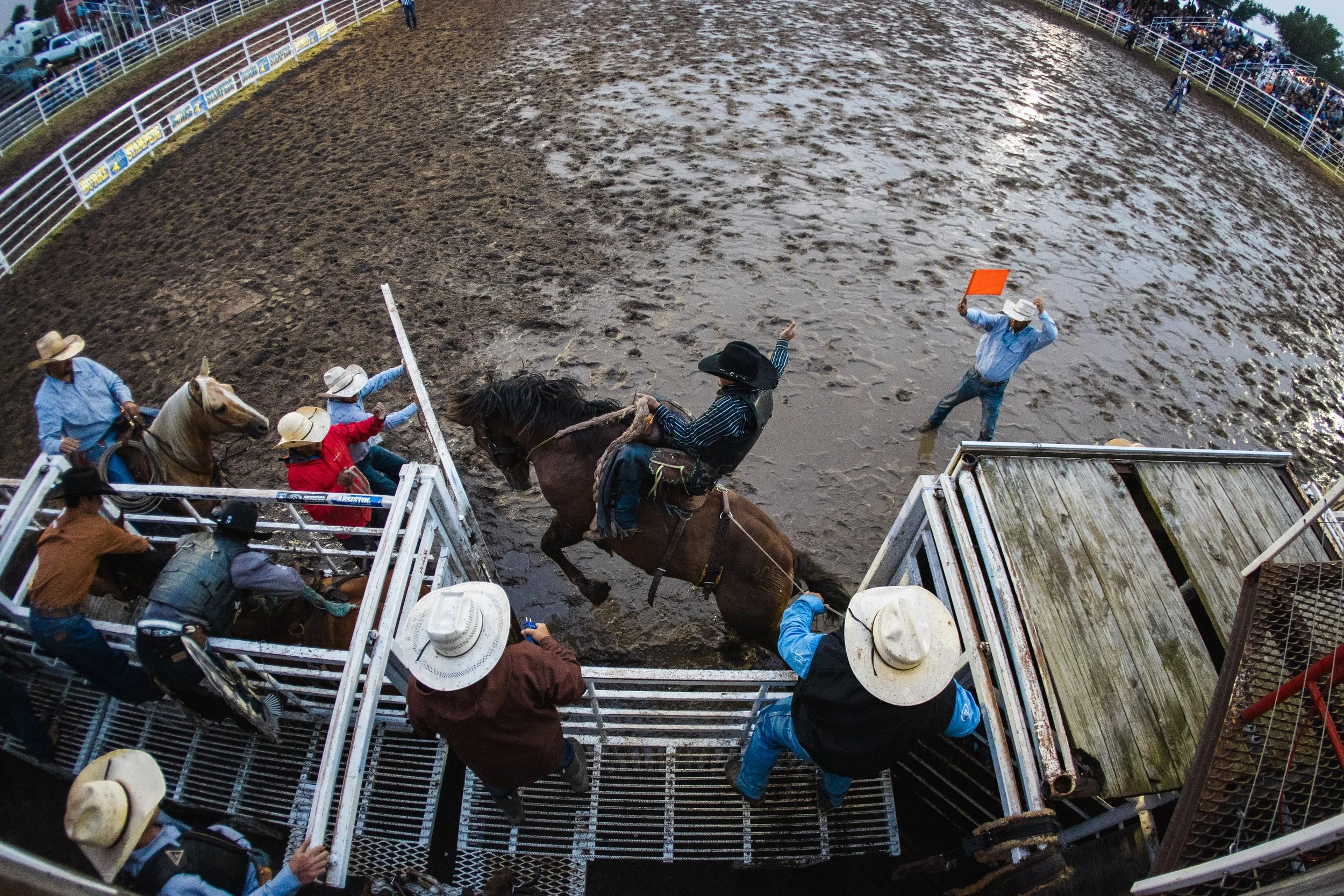 Rodeo — RodeoReady, LLC