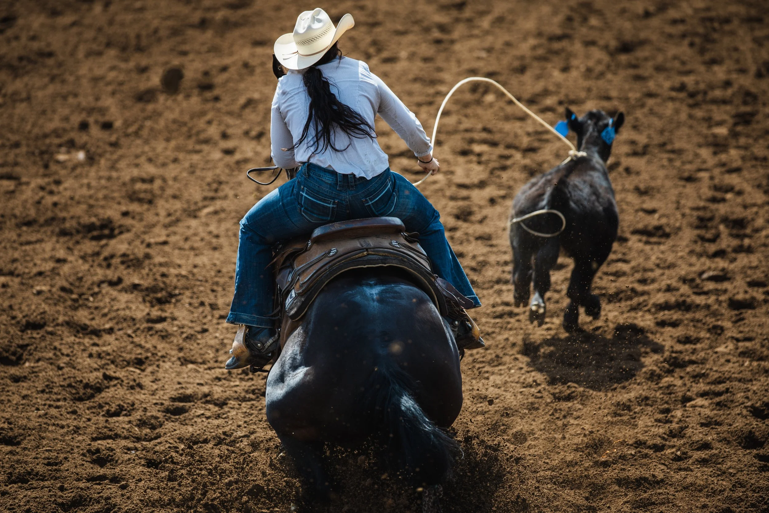 Rodeo — RodeoReady, LLC