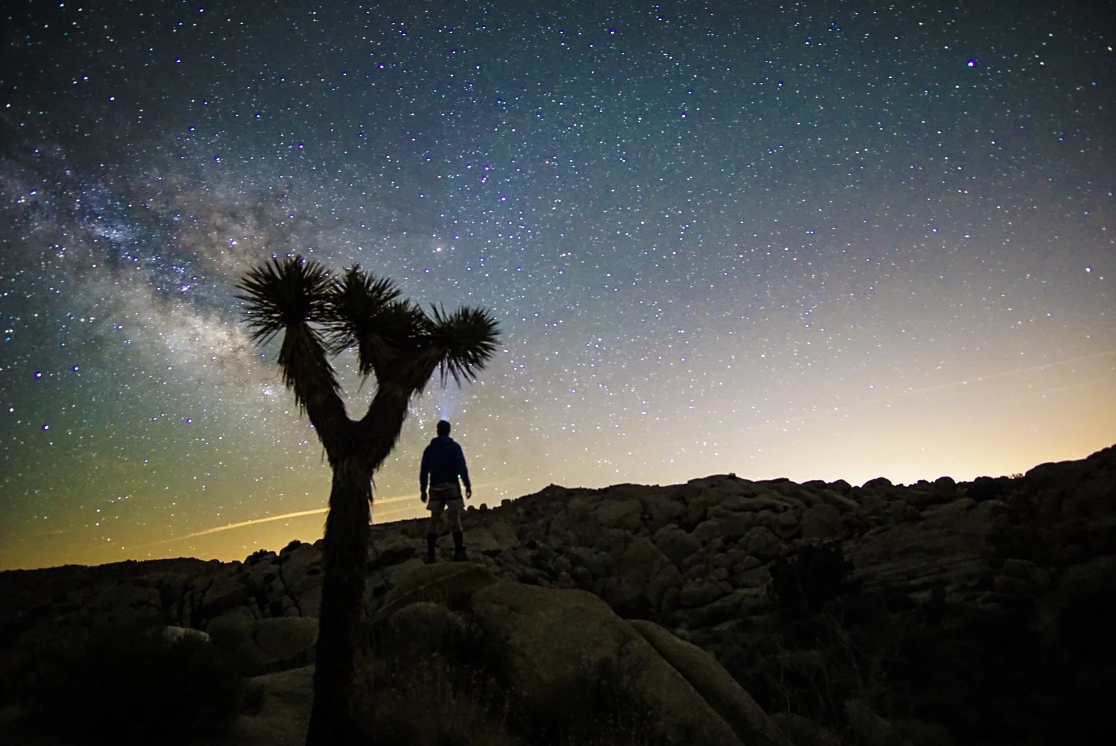 Joshua Tree Trip Planning Essentials to Know for Every Trip ...