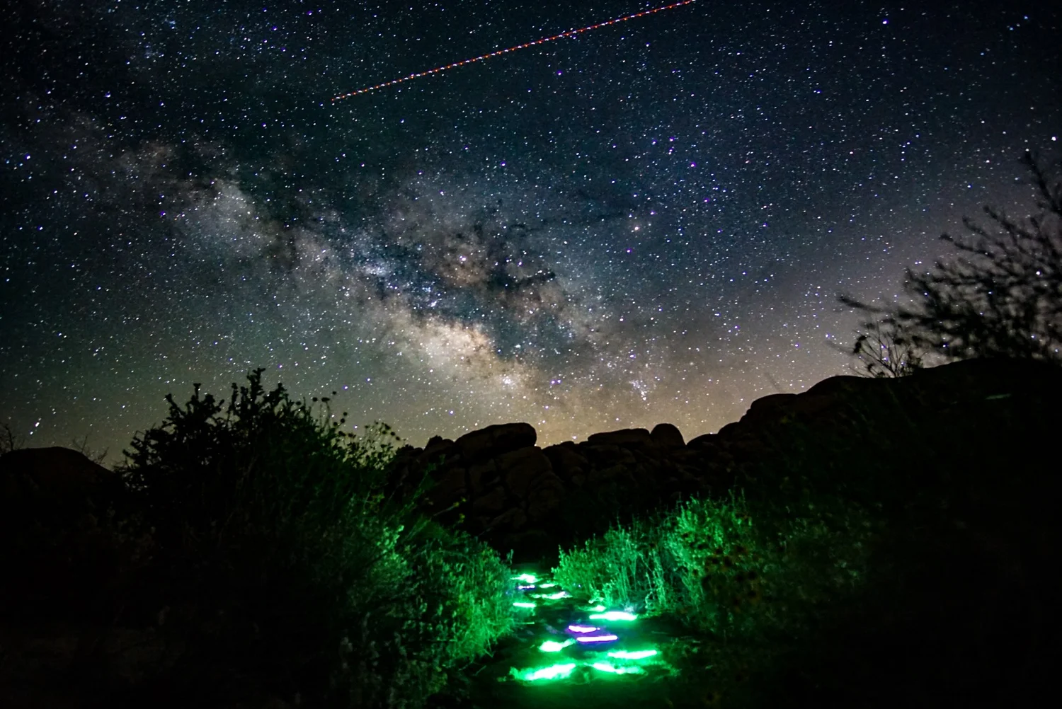 Joshua Tree Trip Planning Essentials to Know for Every Trip ...