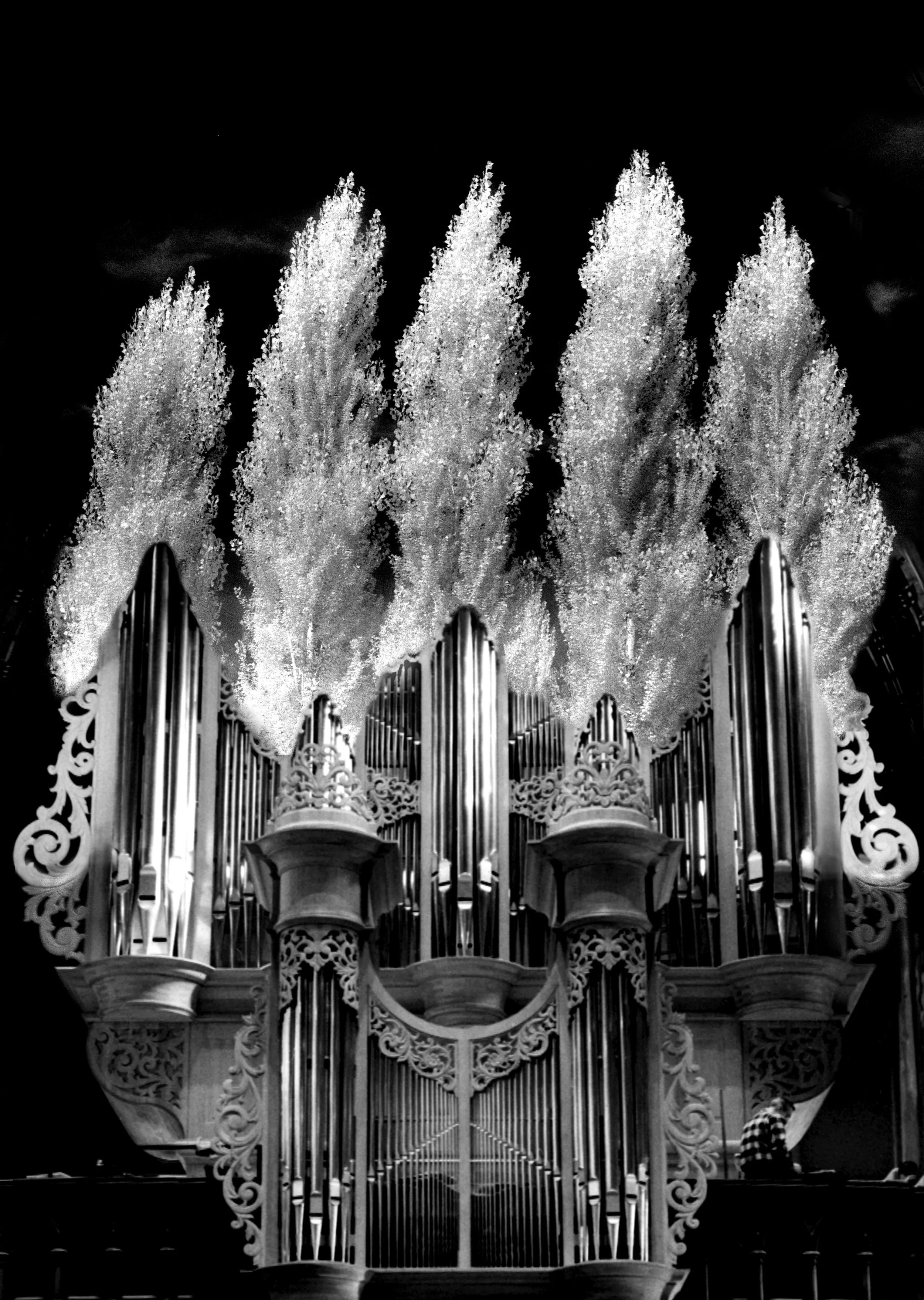 portfolio — Scott Mutter Fine Art