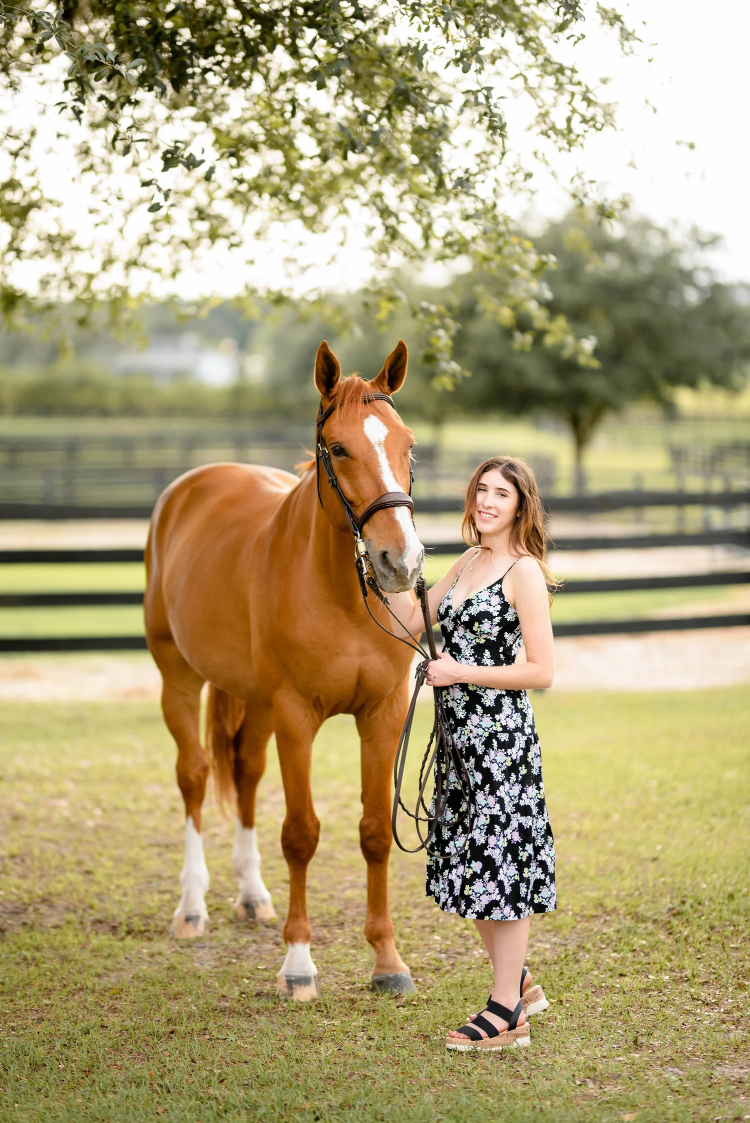 Nicole Schultz, Florida Equine Photographer