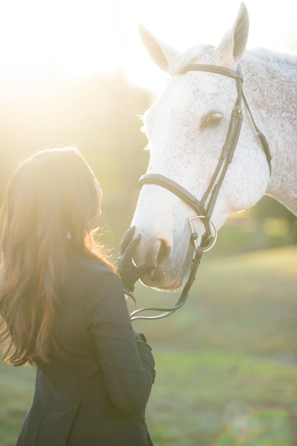 Nicole Schultz, Florida Equine Photographer