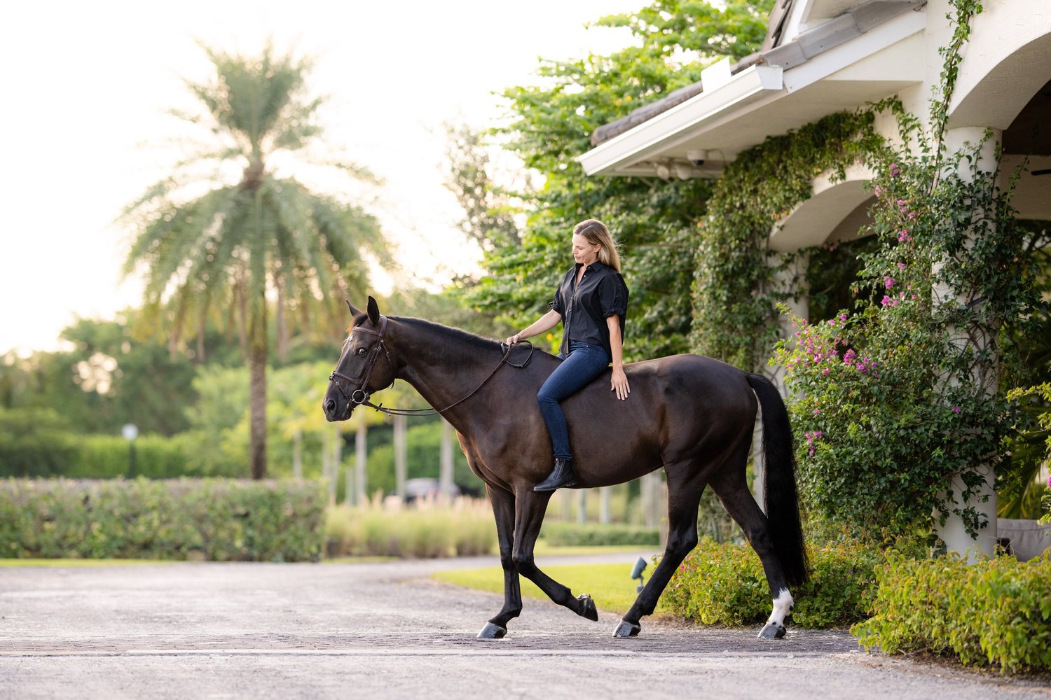 Nicole Schultz, Florida Equine Photographer