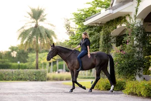 Nicole Schultz, Florida Equine Photographer