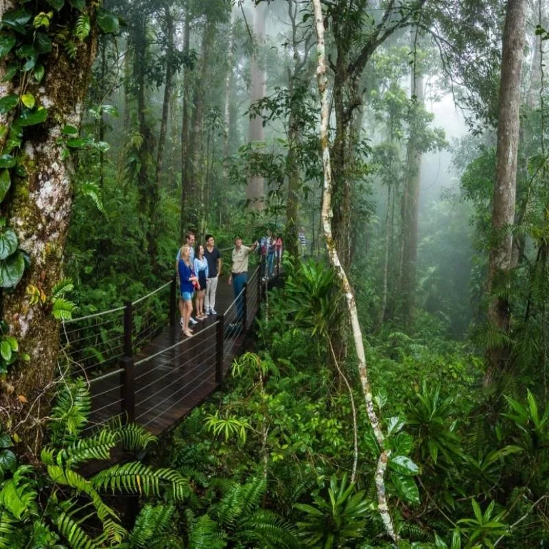 Privacy policy | Turtle Cove Beach Resort | LGBTQIA+ Adults Only Resort ...