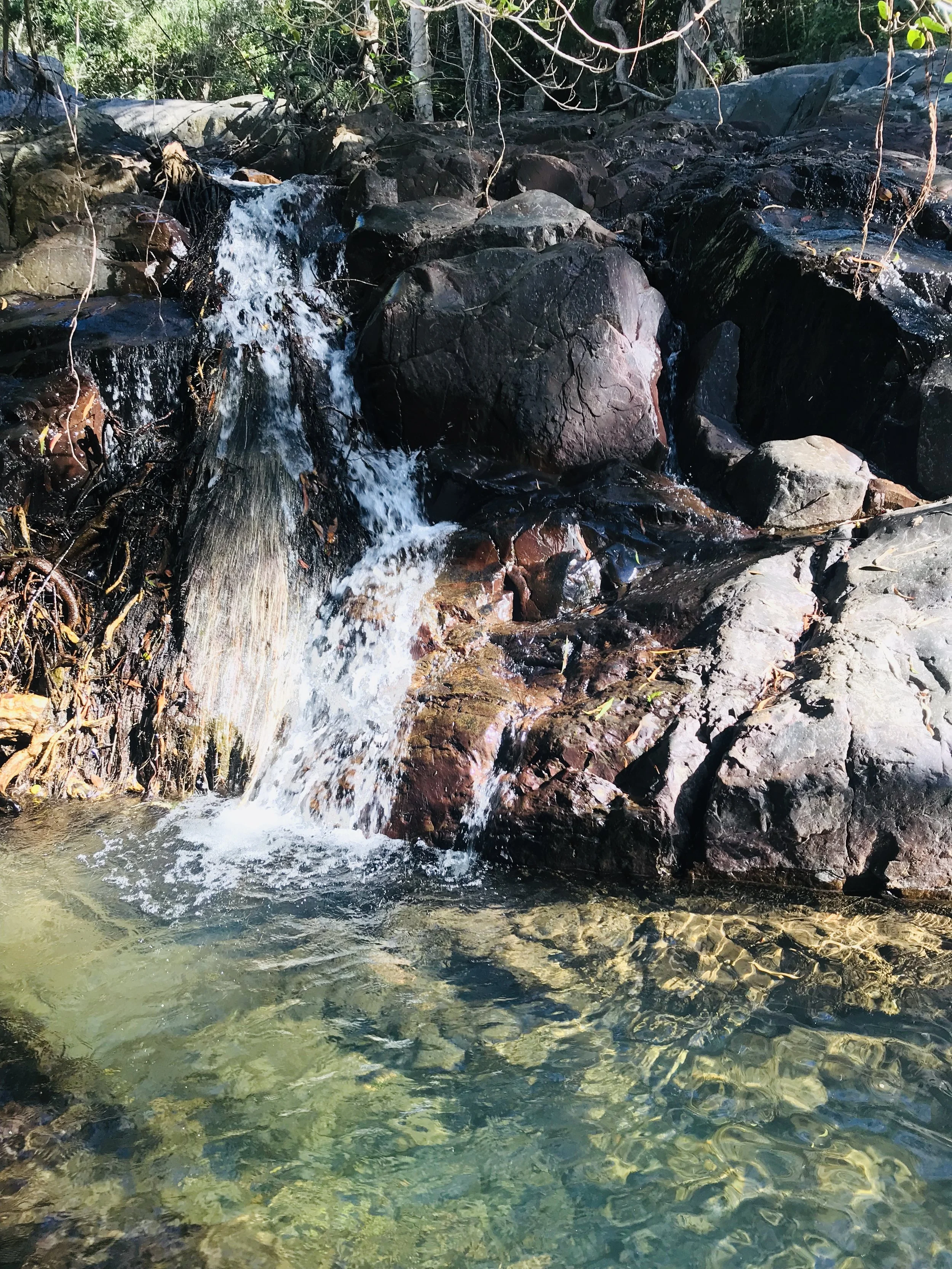 Gallery | Turtle Cove Beach Resort | LGBTQIA+ Adults Only Resort ...