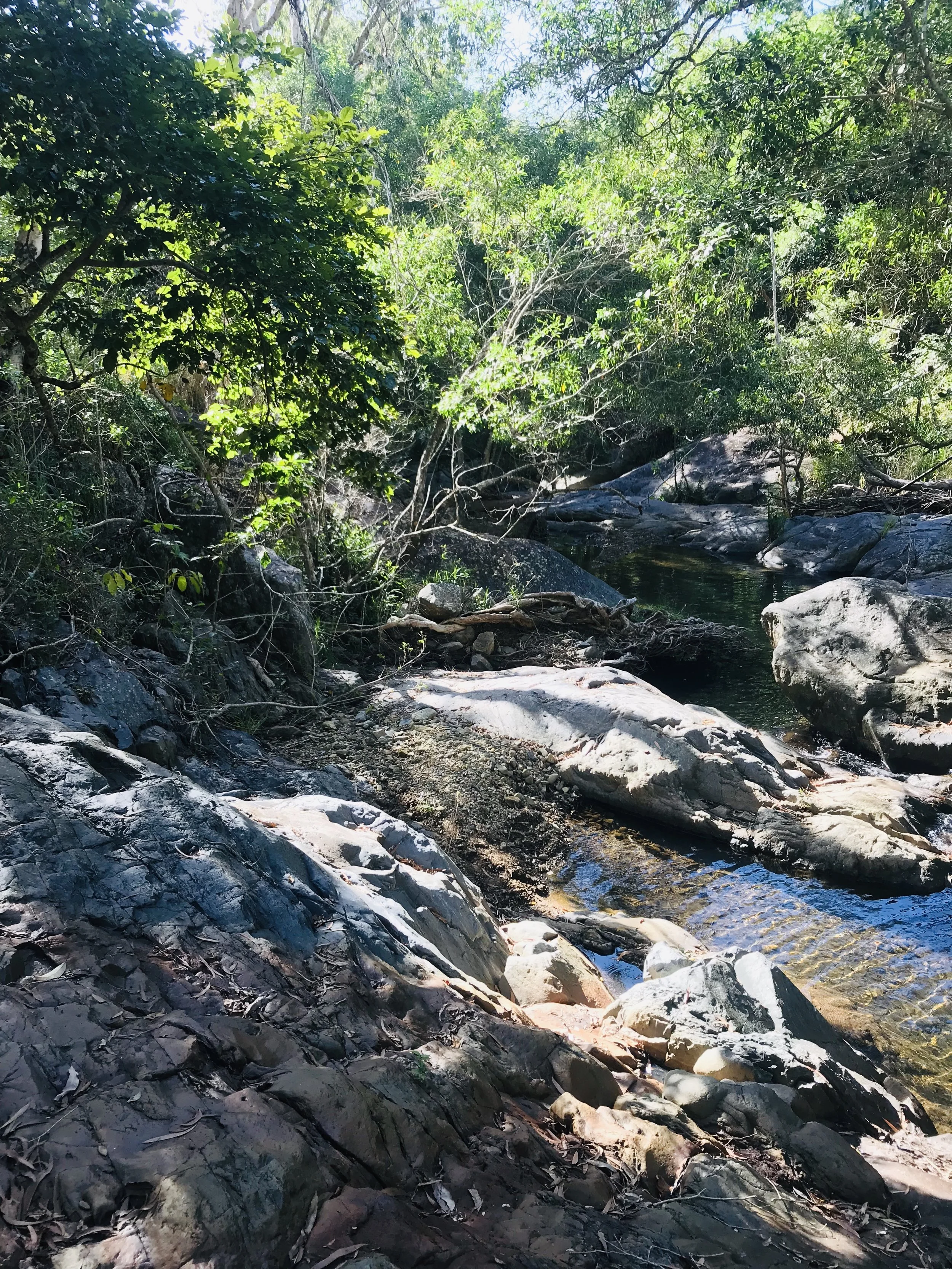 Image Gallery | Turtle Cove Beach Resort | LGBTQIA+ Adults Only Resort ...