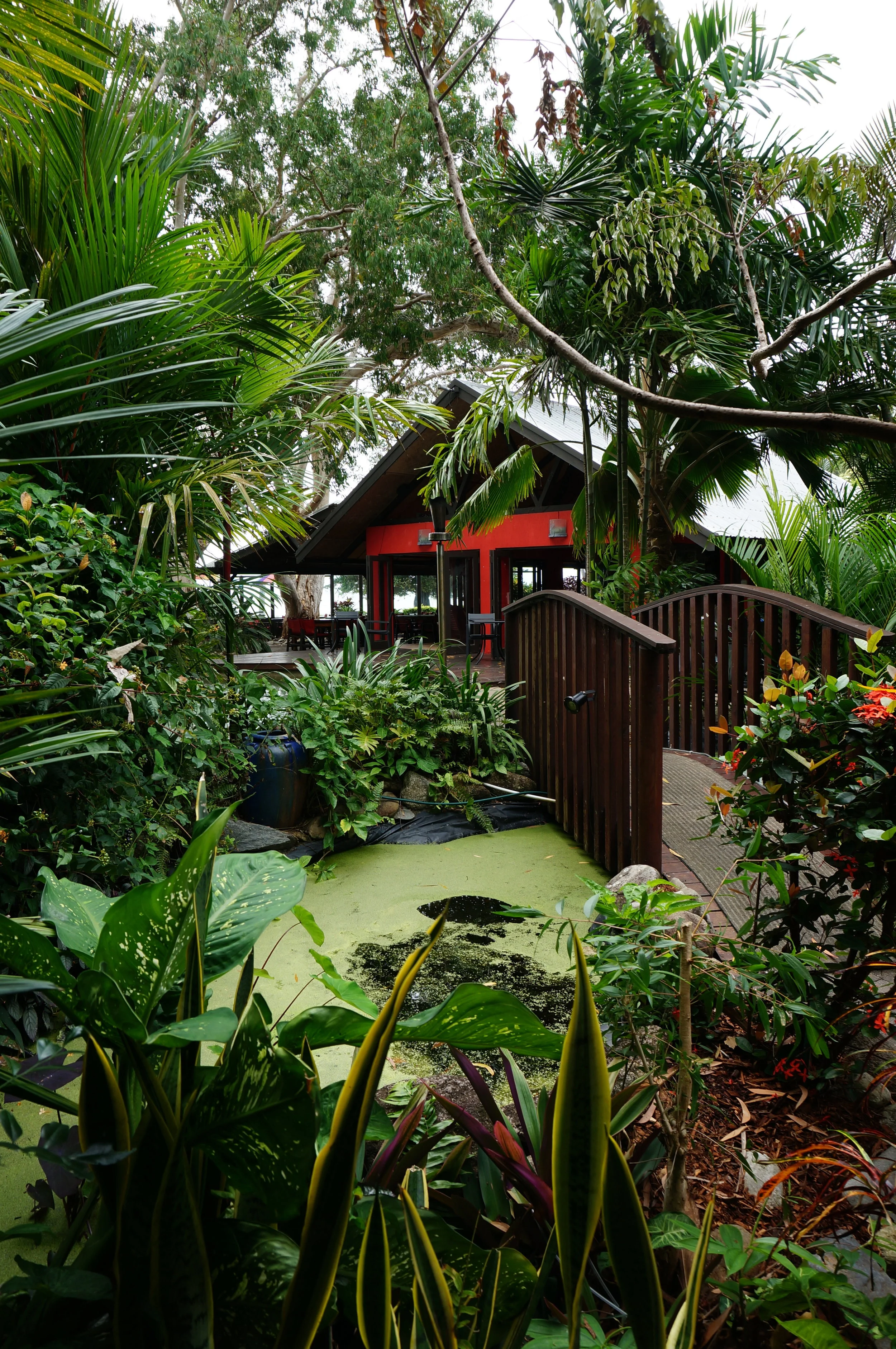 Gallery | Turtle Cove Beach Resort | LGBTQIA+ Adults Only Resort ...