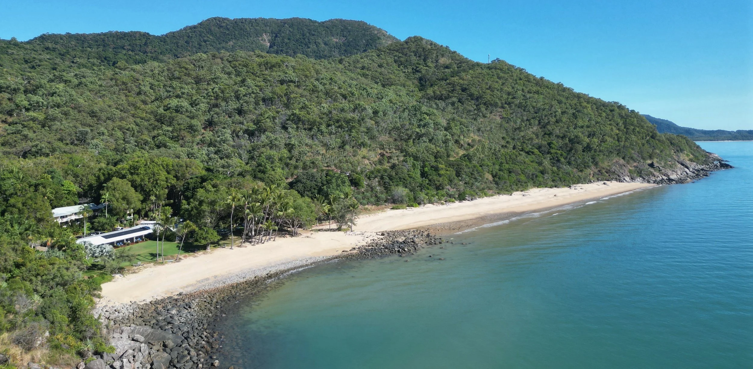 Turtle Cove Caribbean