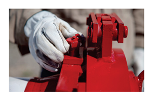 T.D. Williamson Closures and Pig Sigs — Kerr Engineered Sales