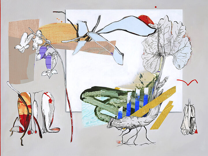Botanical 2019 — Fiona Ackerman