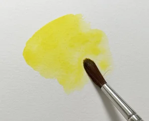 How to Blend Watercolour Paint — Louise De Masi Watercolour Artist