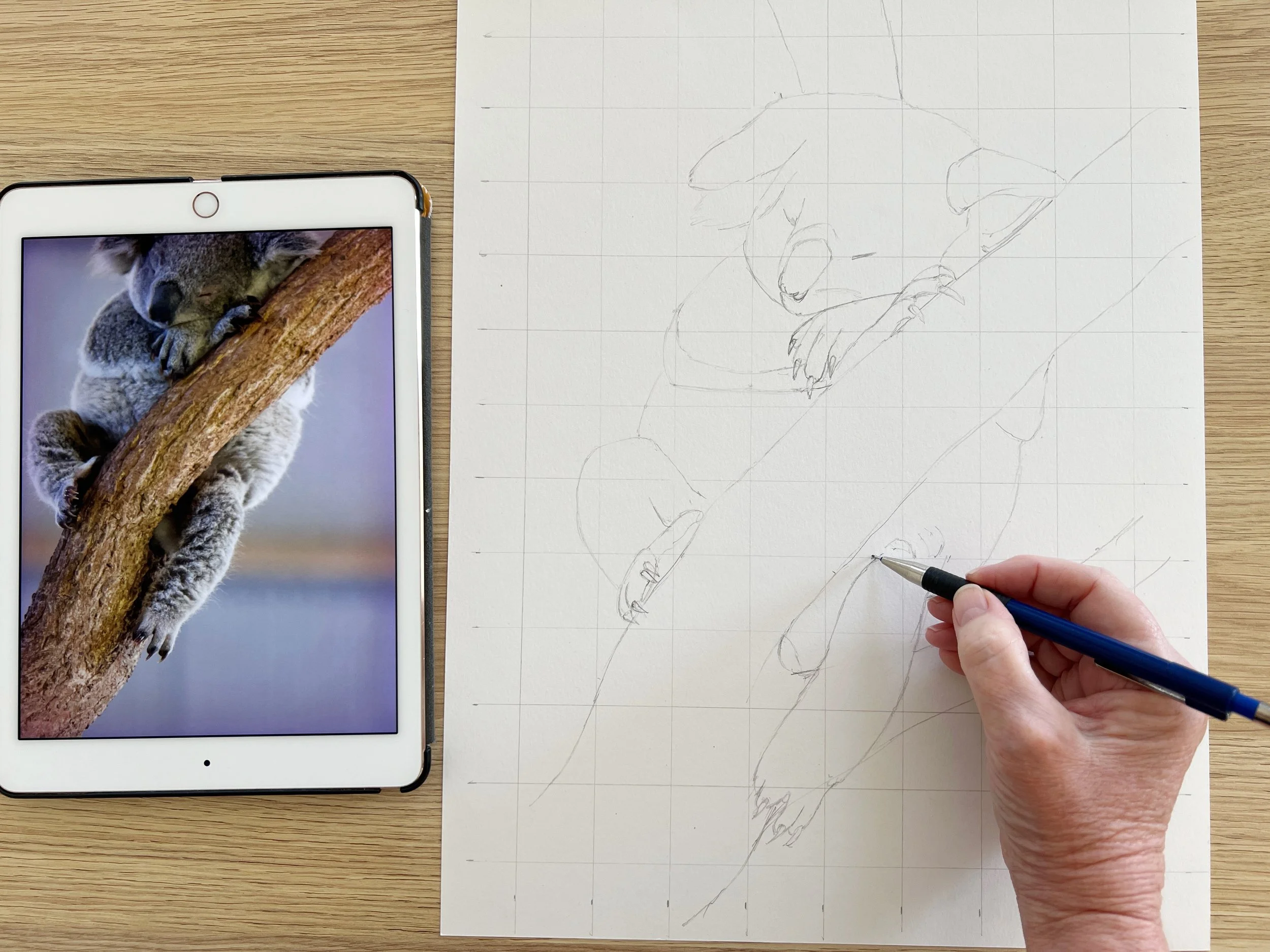 How to Transfer Sketches Using the Grid Method: A Step-by-Step Guide ...