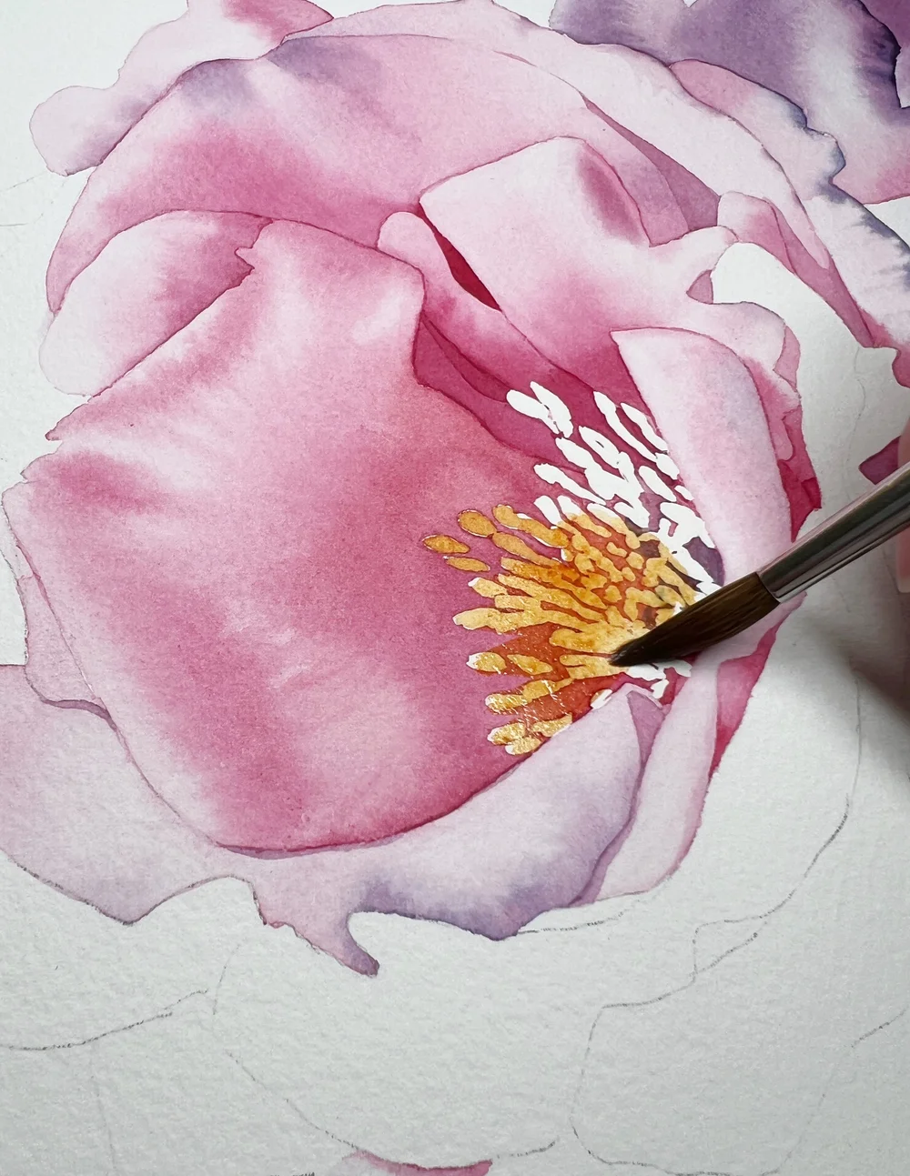 Painting a Watercolour Rose — Louise De Masi Watercolour Artist