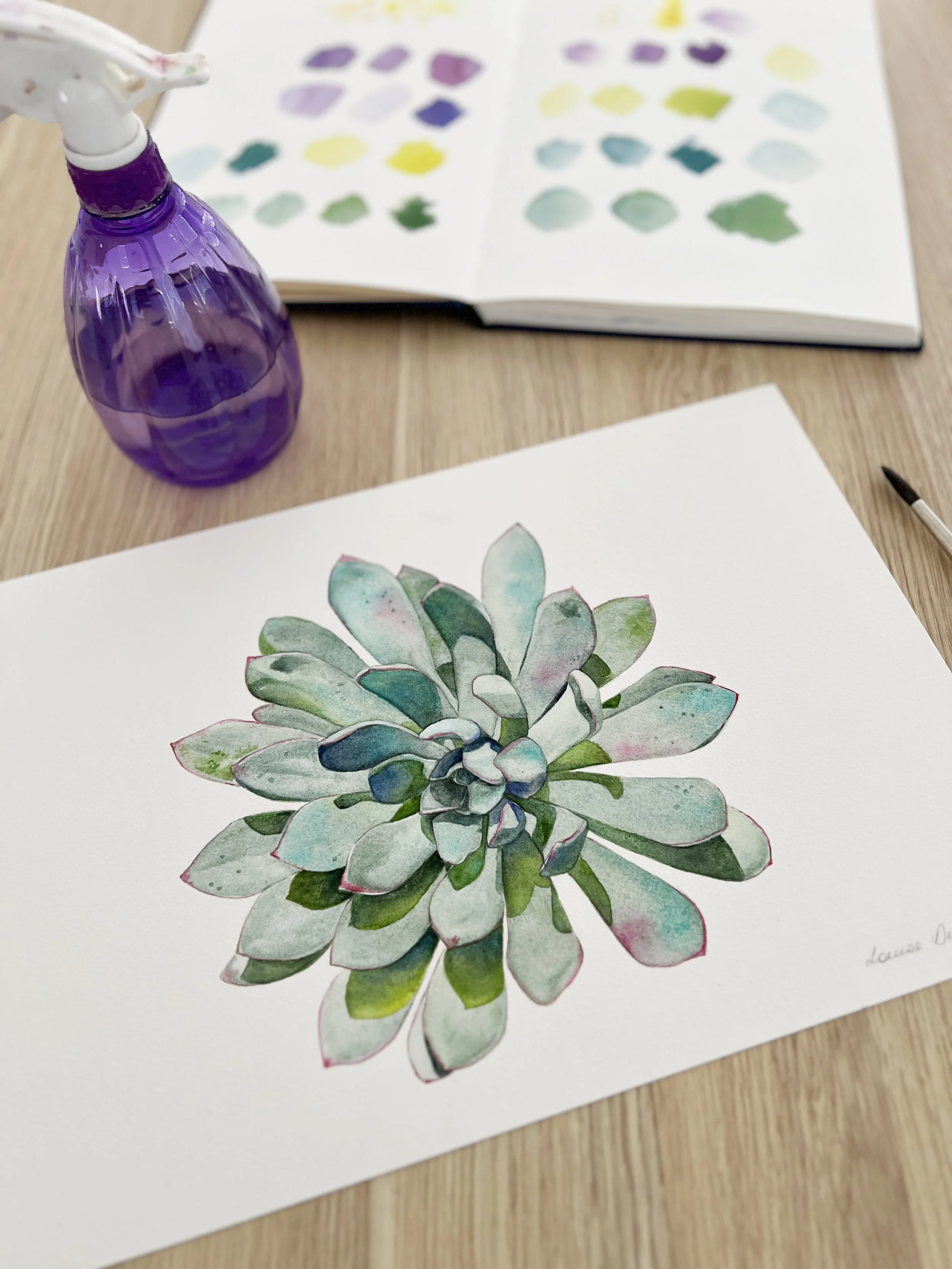 4 Characteristics of Watercolour Paints — Louise De Masi Watercolour Artist