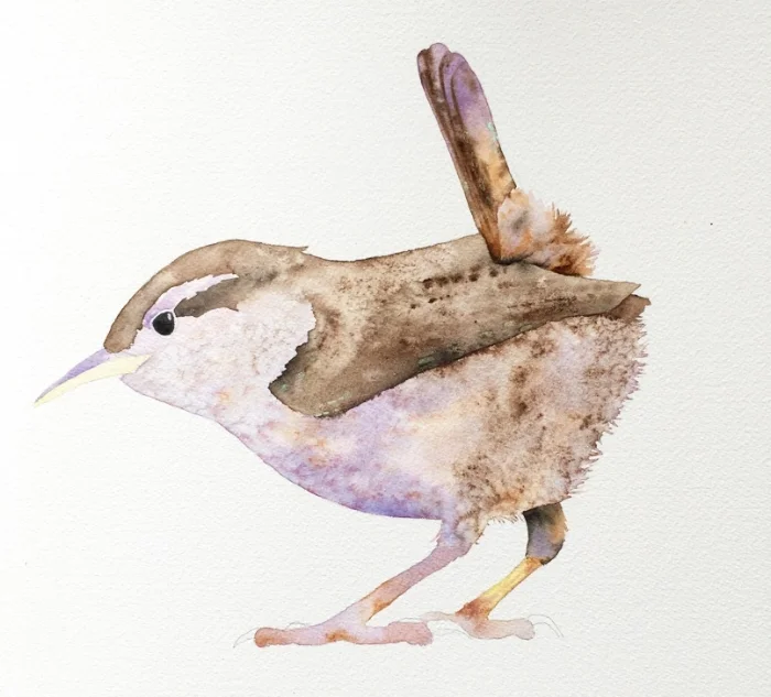 Painting Wren in Watercolour — Louise De Masi Watercolour Artist