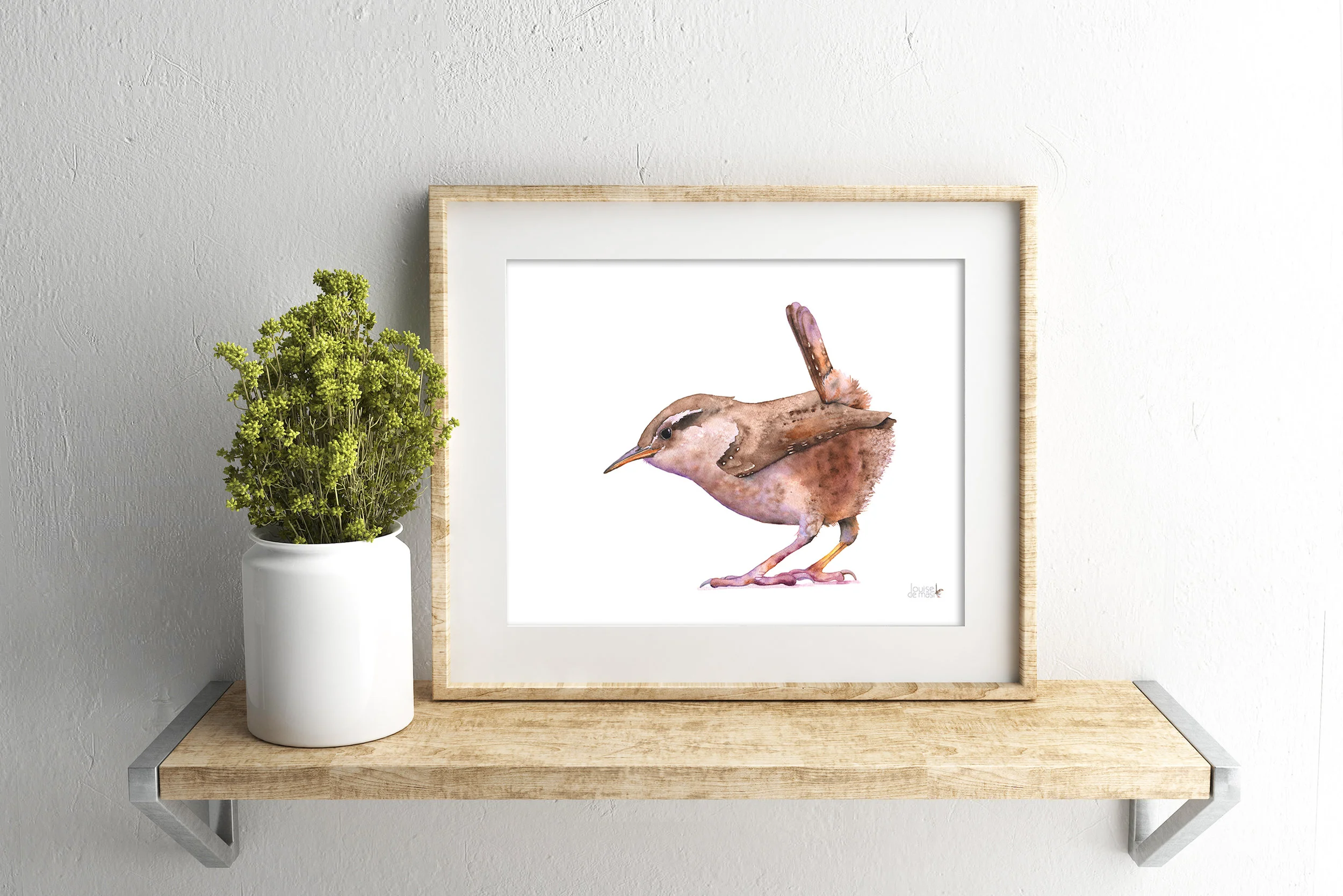 Painting Wren in Watercolour — Louise De Masi Watercolour Artist