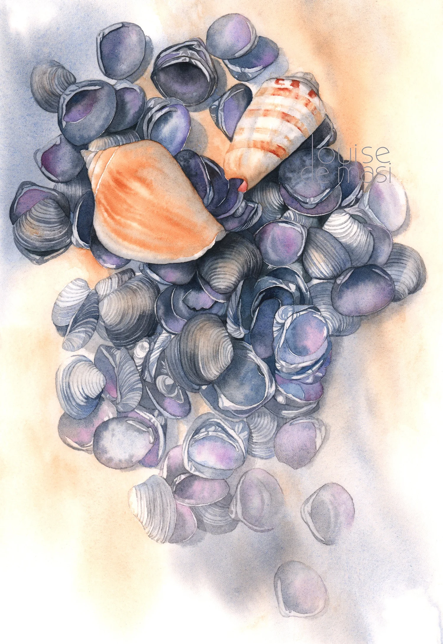 A guide to painting sea shells in watercolour. — Louise De Masi ...