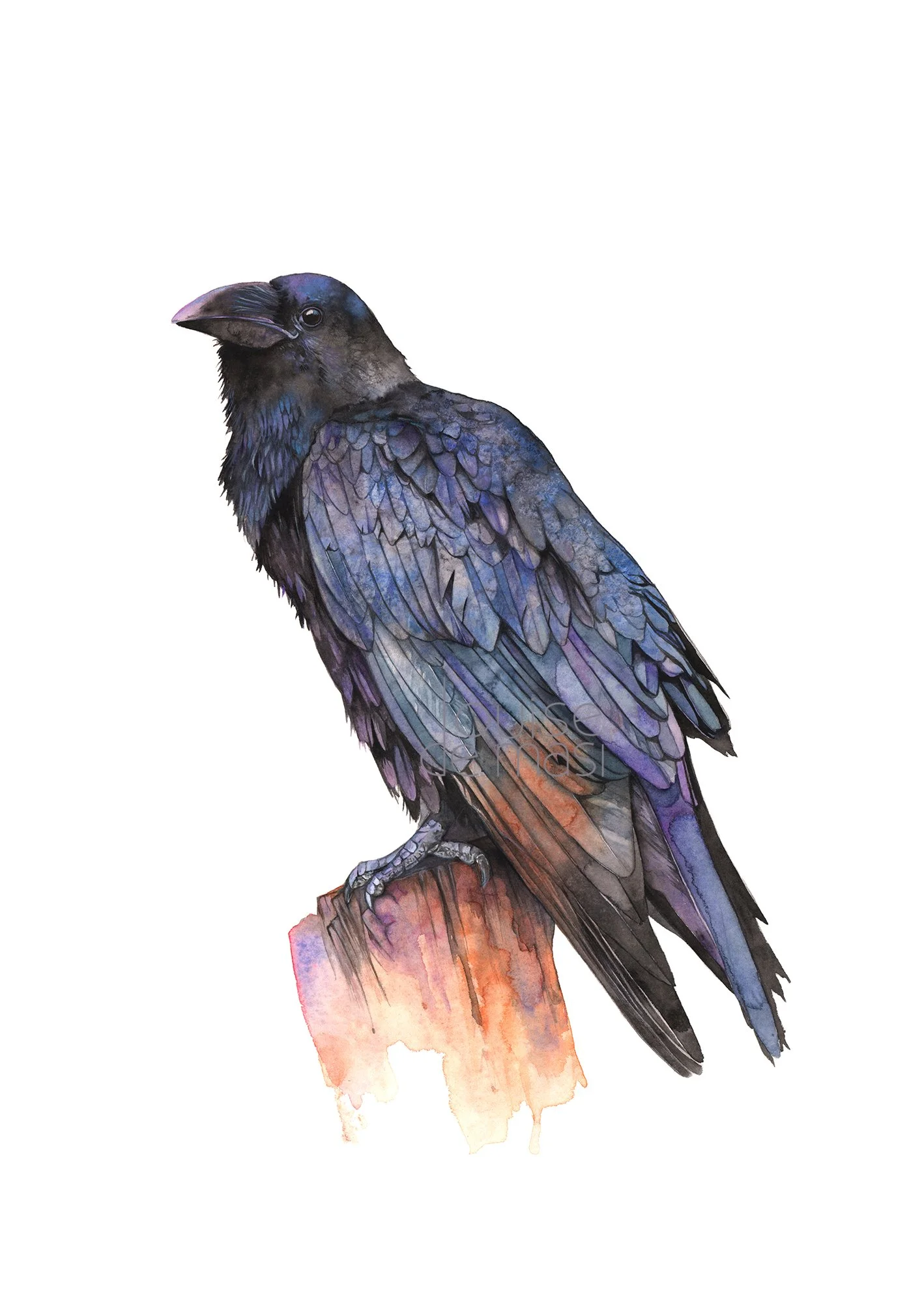 Shop for fine art prints of watercolour Art, Artworks and paintings ...