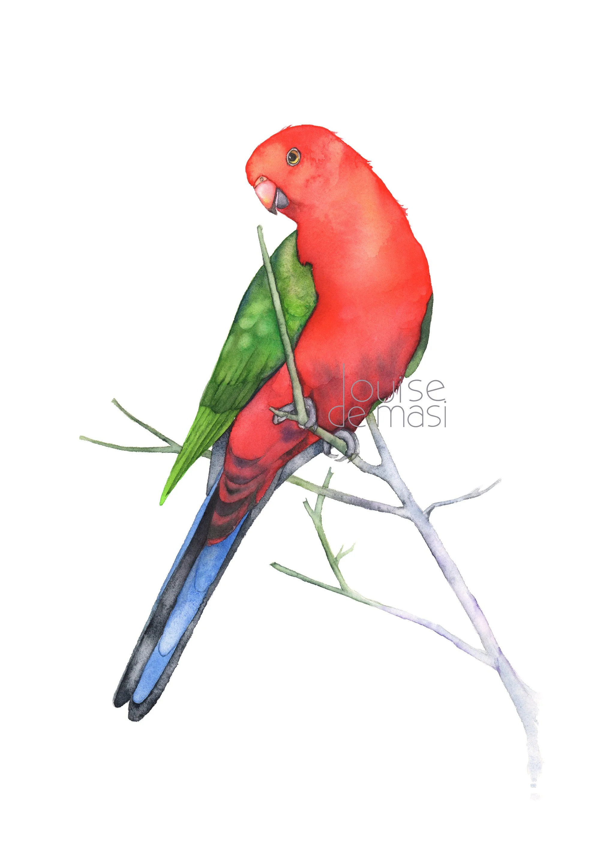Shop for original watercolour Art and Artworks and paintings from ...