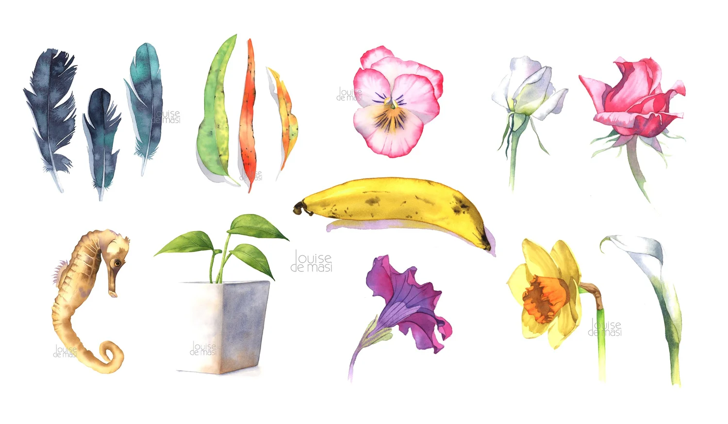11 Easy Watercolour Painting Ideas for Beginners — Louise De Masi ...