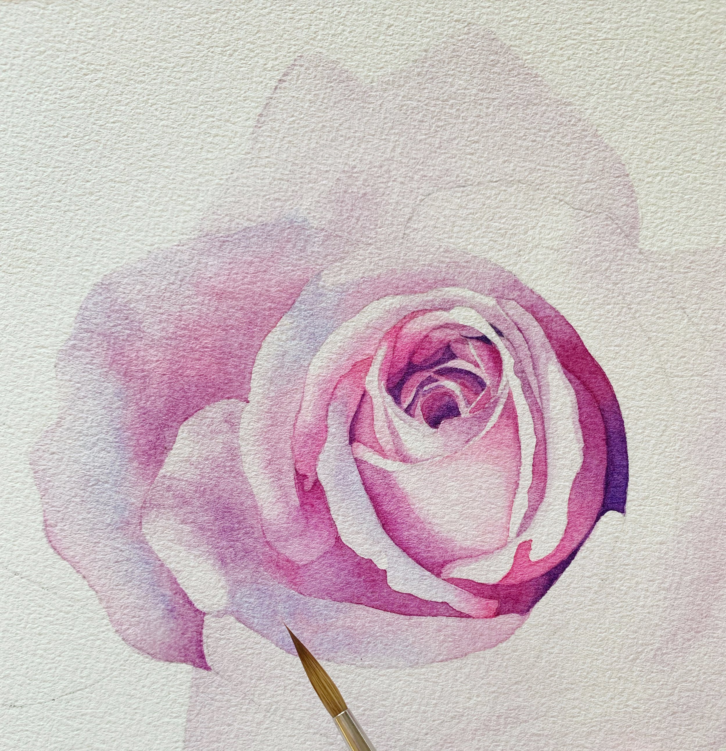 Colour Value in Watercolour Painting — Louise De Masi Watercolour Artist