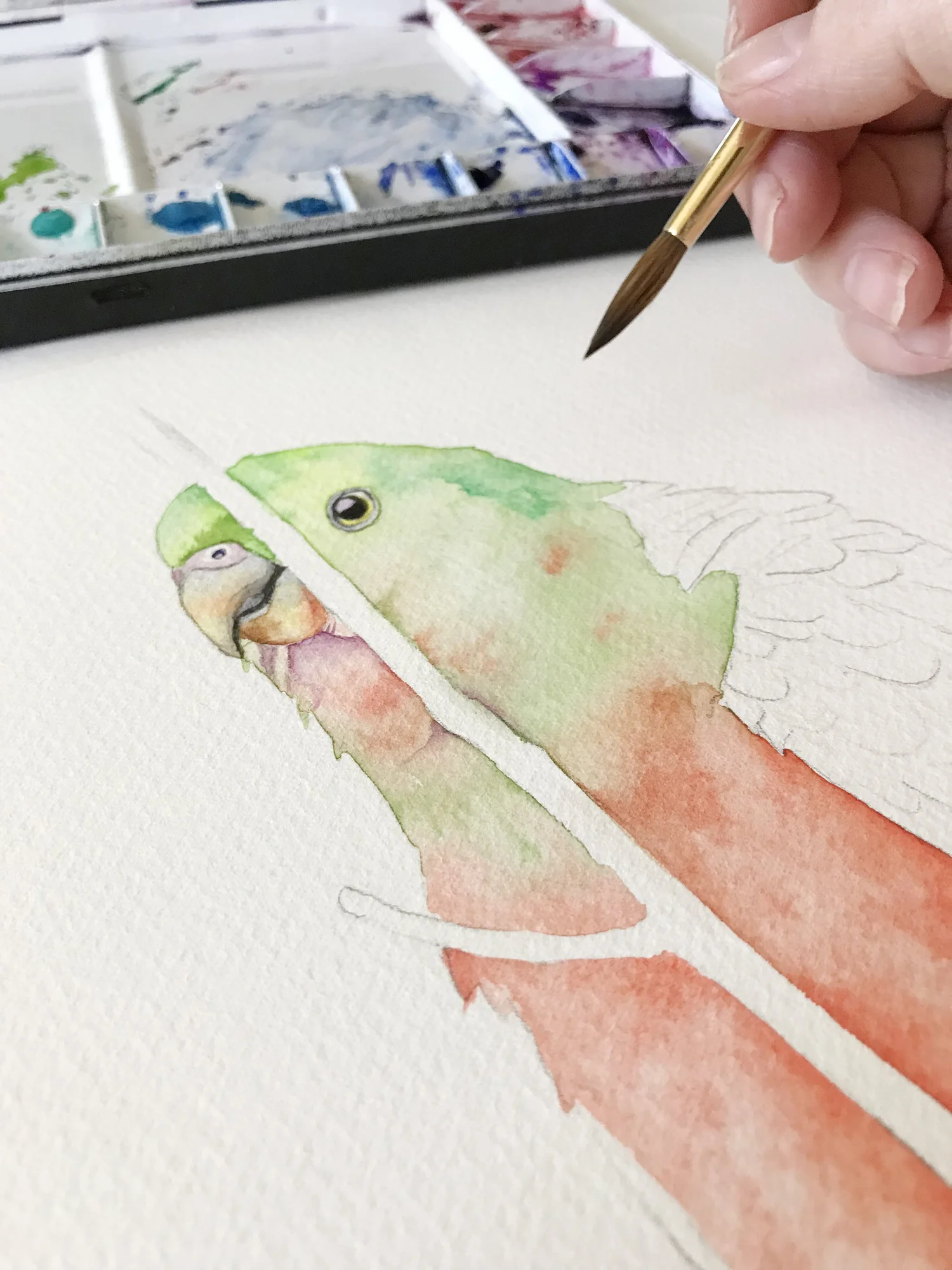 Staining and Non-Staining Watercolours — Louise De Masi Watercolour Artist