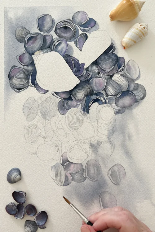 A guide to painting sea shells in watercolour. — Louise De Masi ...