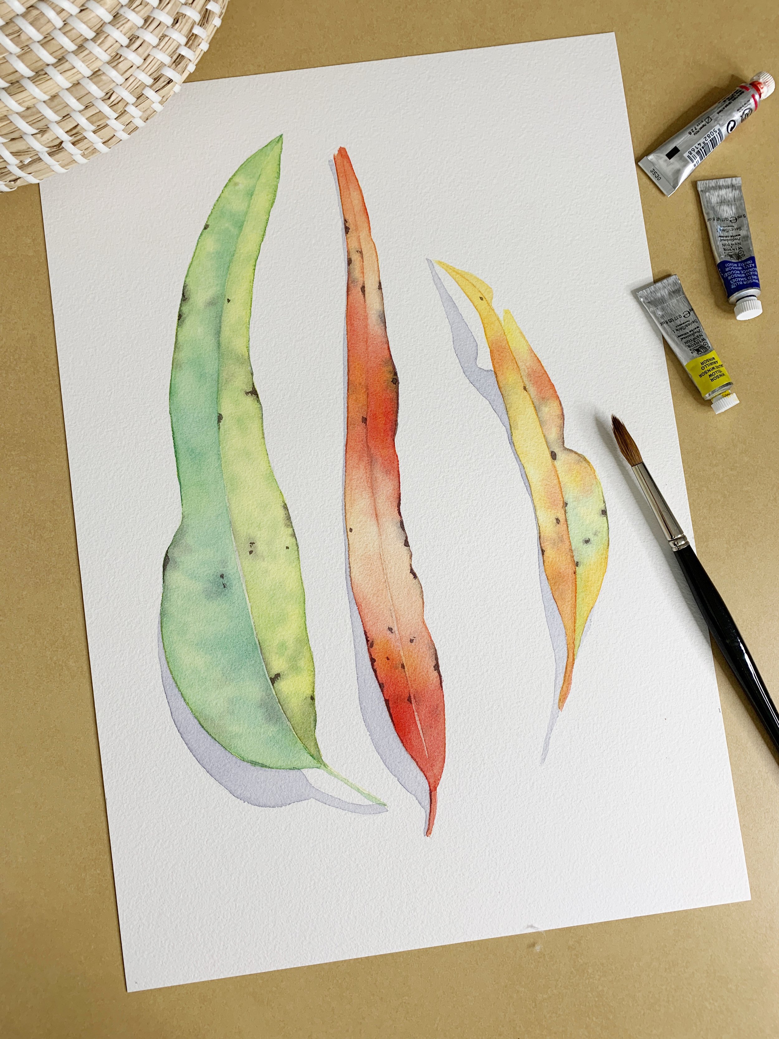 Master Colour Theory: Dive into the Colour Wheel for Artists and ...
