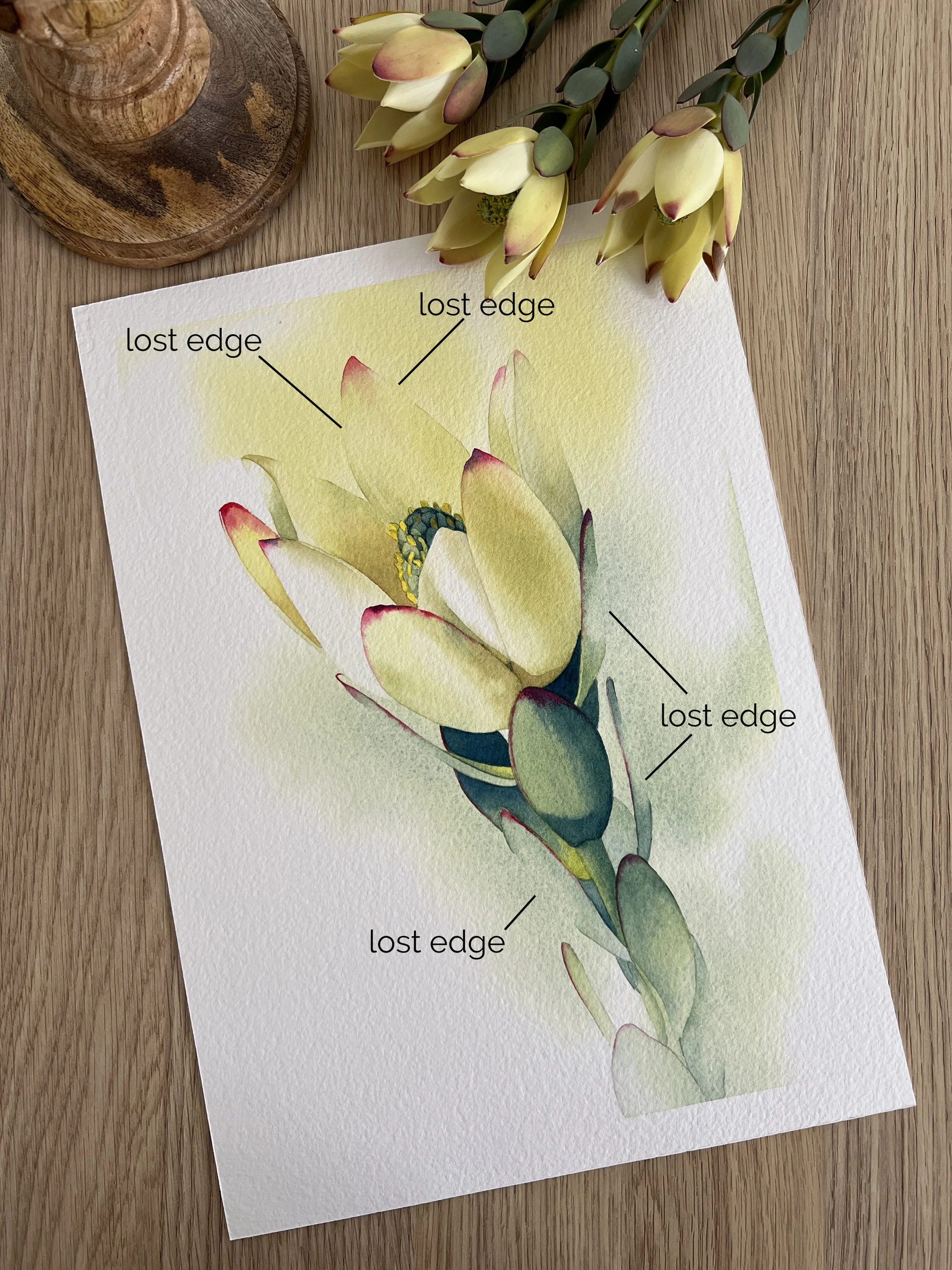 How to Paint Hard and Soft Edges in Watercolour — Louise De Masi ...