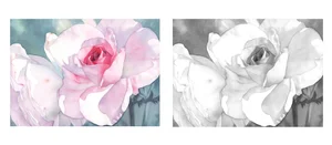 10 Common Watercolour Mistakes and How to Fix Them — Louise De Masi ...