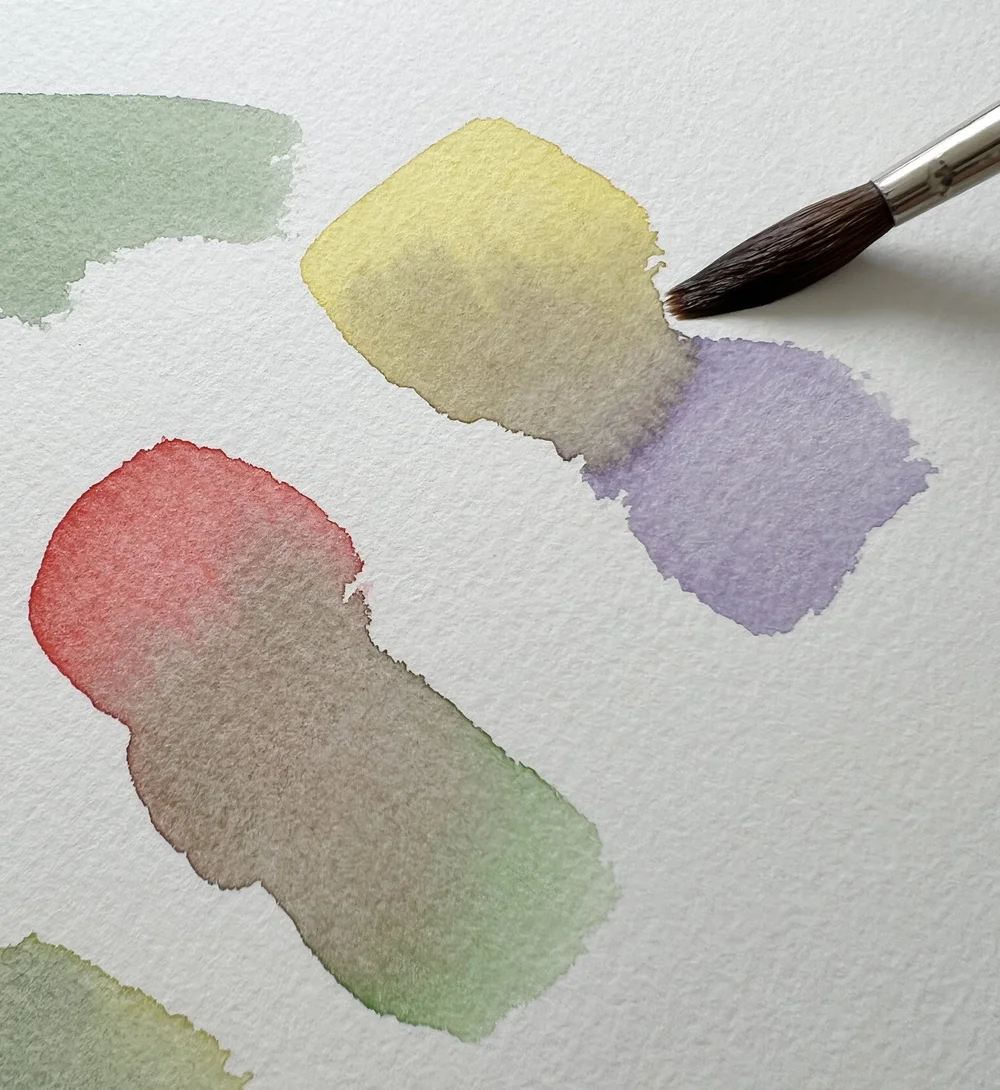 8 Tips to Avoid Muddy Colours — Louise De Masi Watercolour Artist