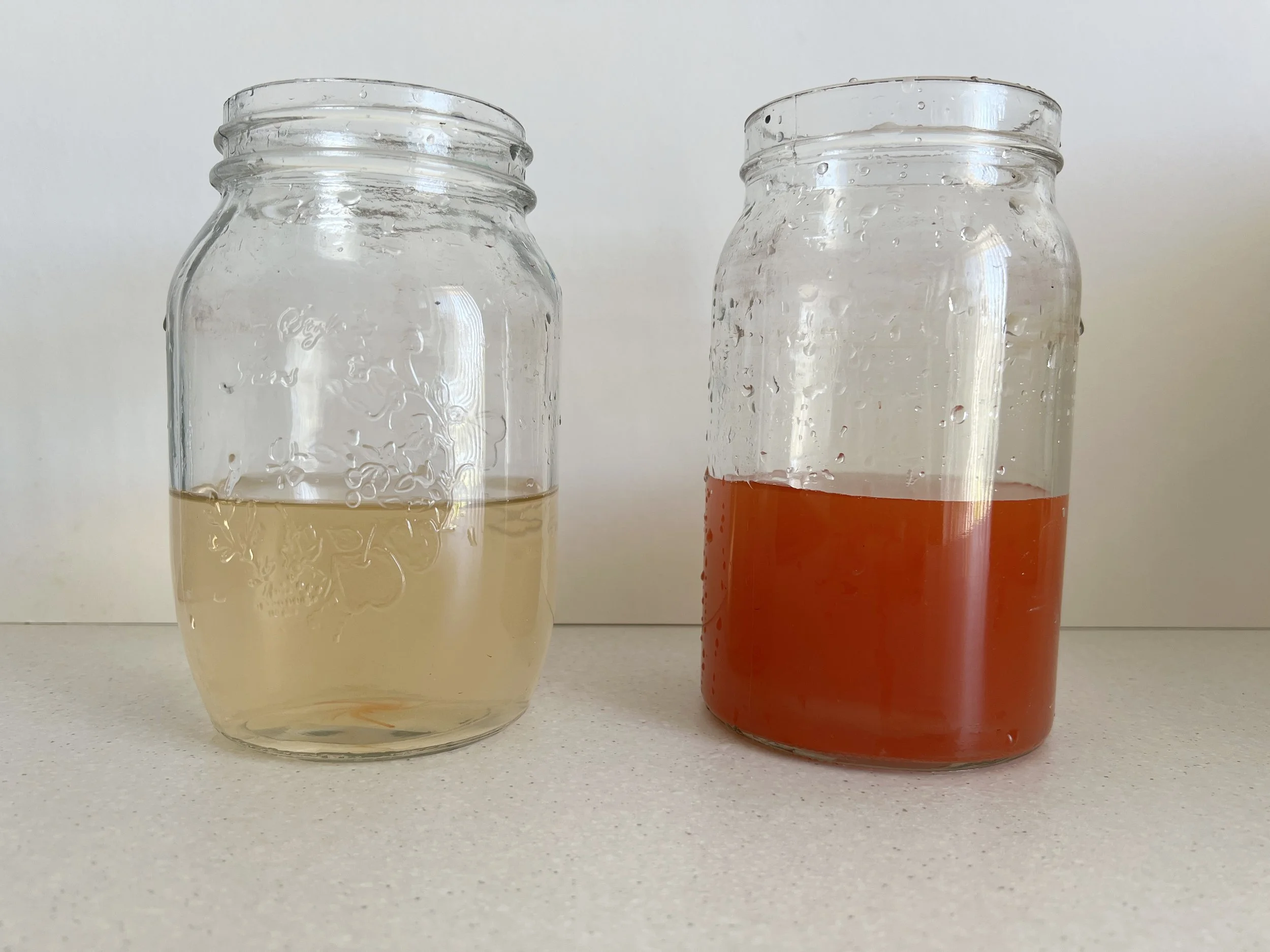 Watercolour Transparency and Opacity — Louise De Masi Watercolour Artist