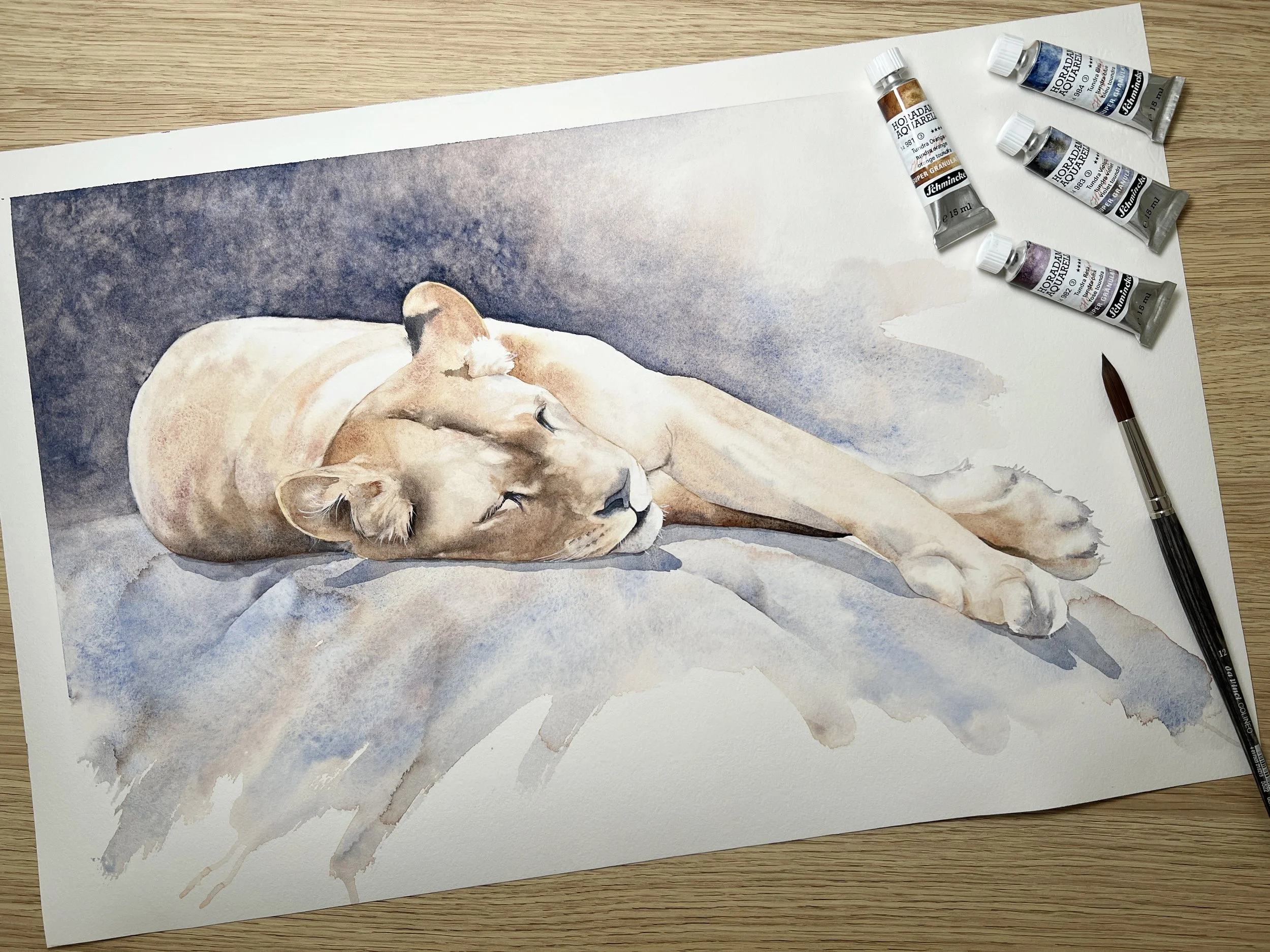 4 Characteristics of Watercolour Paints — Louise De Masi Watercolour Artist