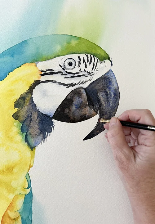 Lifting Techniques in Watercolour — Louise De Masi Watercolour Artist