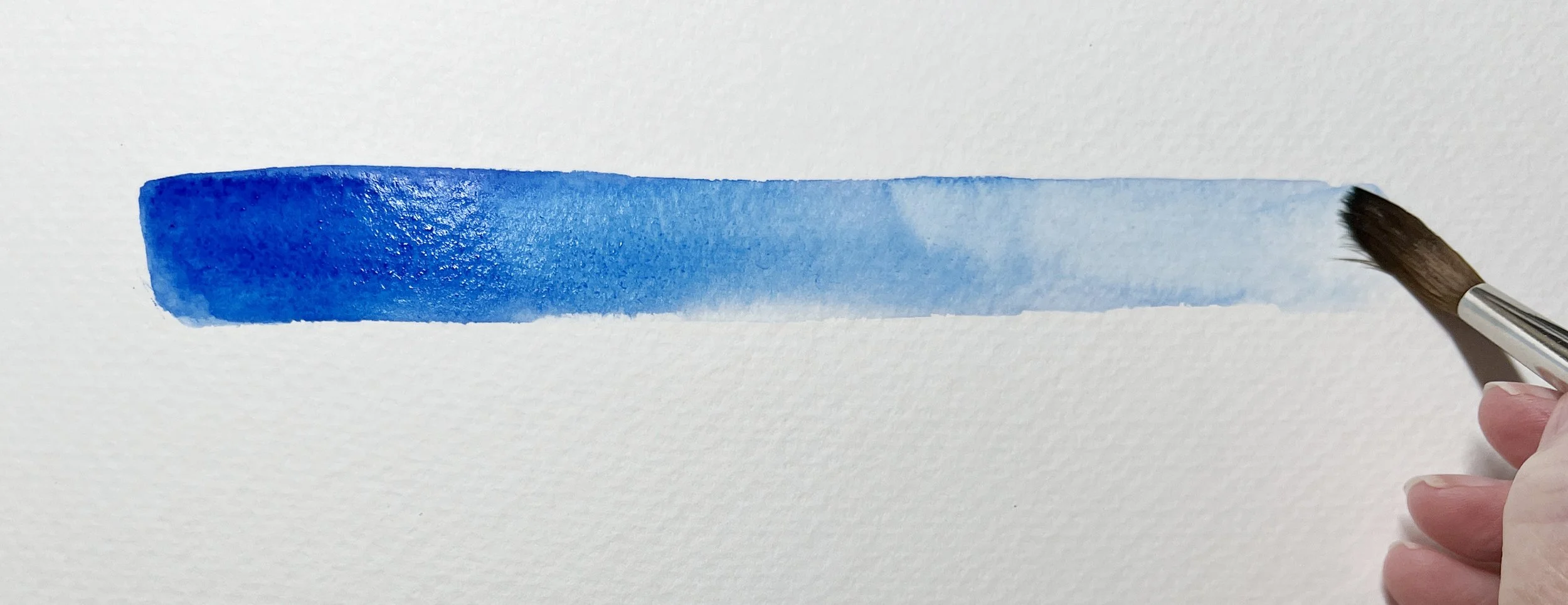 Colour Value in Watercolour Painting — Louise De Masi Watercolour Artist