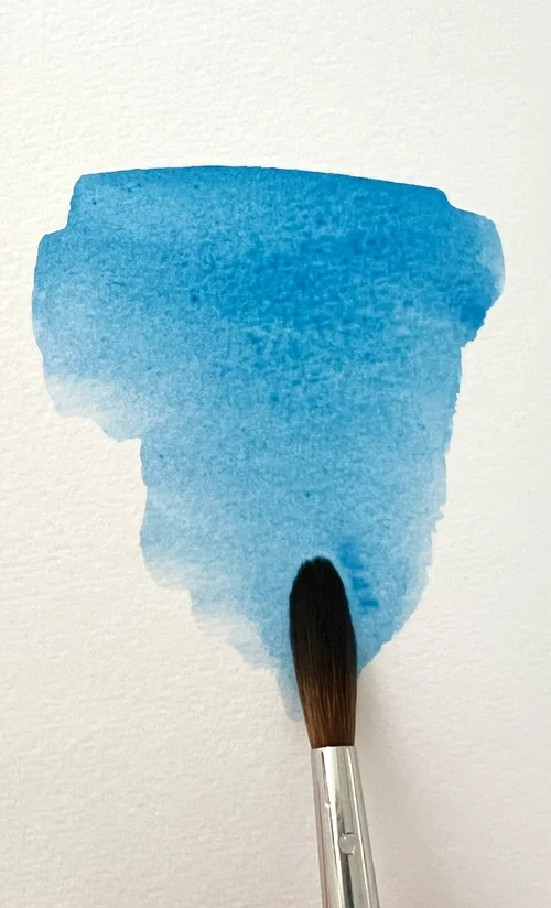 4 Characteristics of Watercolour Paints — Louise De Masi Watercolour Artist