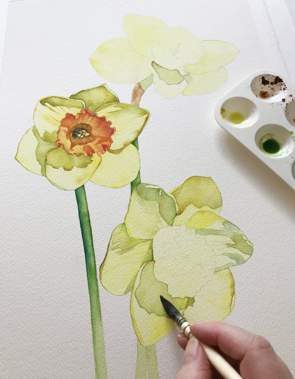 Staining and Non-Staining Watercolours — Louise De Masi Watercolour Artist