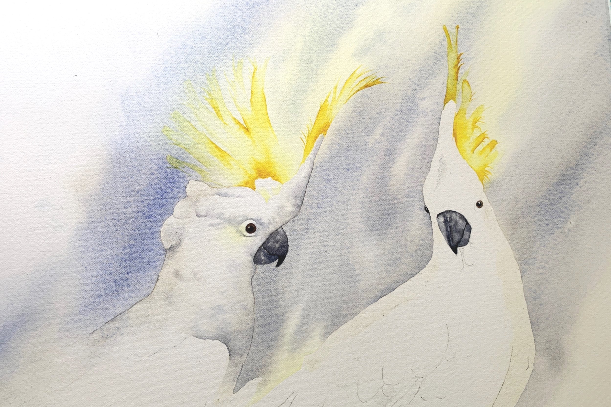 How to Paint Cockatoos in Watercolour. Techniques and Tips for Success ...