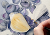 A guide to painting sea shells in watercolour. — Louise De Masi ...