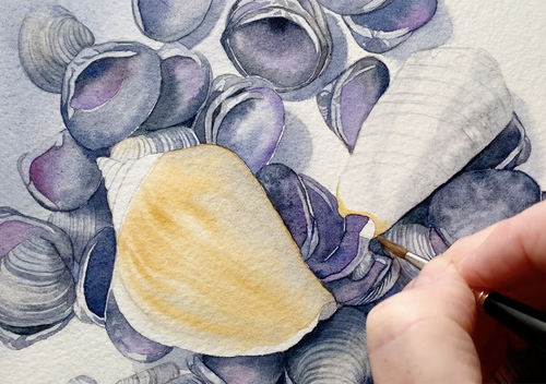 A guide to painting sea shells in watercolour. — Louise De Masi ...