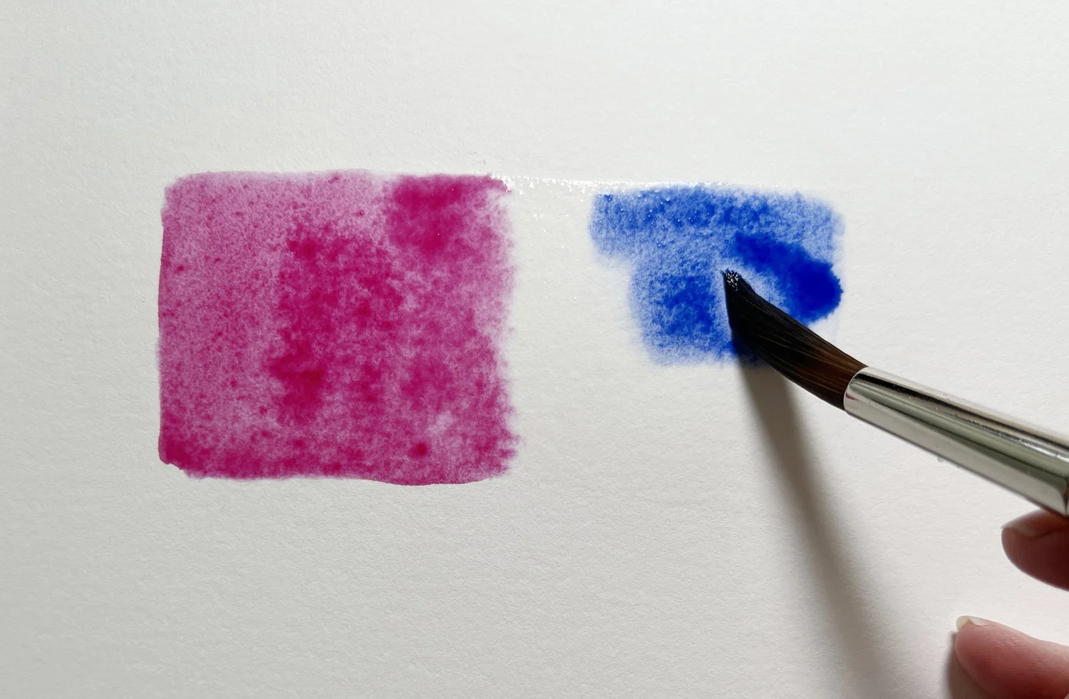 How to Blend Watercolour Paint — Louise De Masi Watercolour Artist