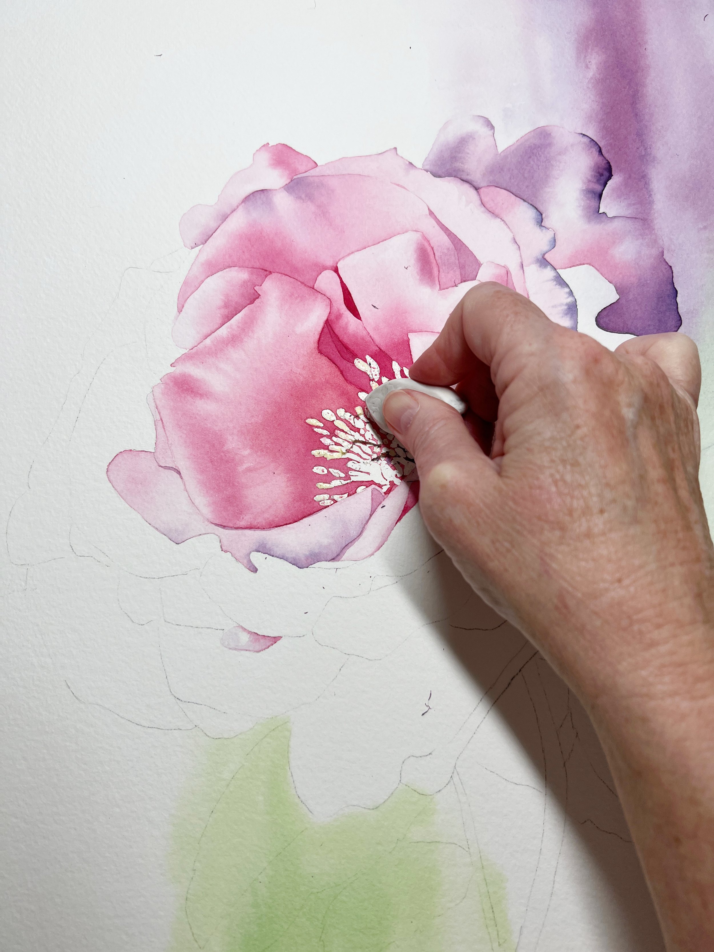 Painting a Watercolour Rose — Louise De Masi Watercolour Artist