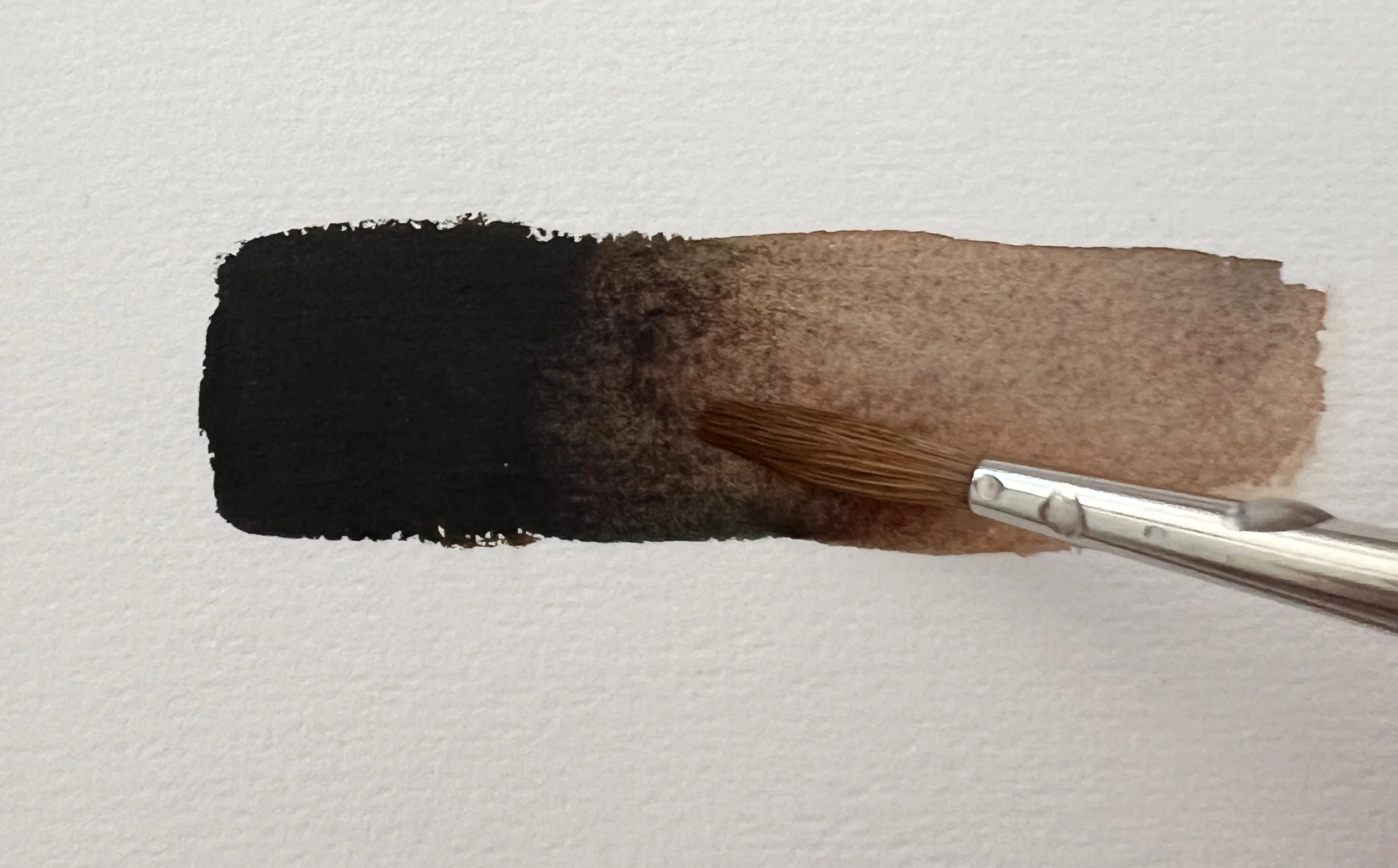 How Do You Mix Black Watercolour Paint? — Louise De Masi Watercolour Artist