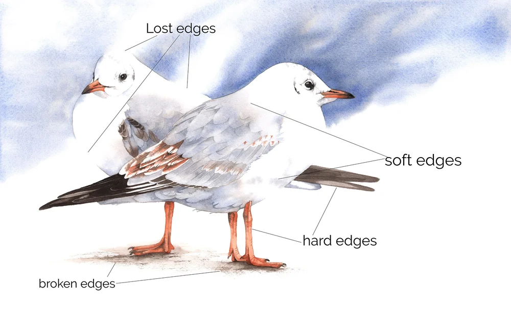 How to Paint Lost and Found Edges in Watercolour — Louise De Masi Watercolour Artist