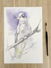 How to Make Grey Watercolour: Mastering the Art of Mixing Greys ...