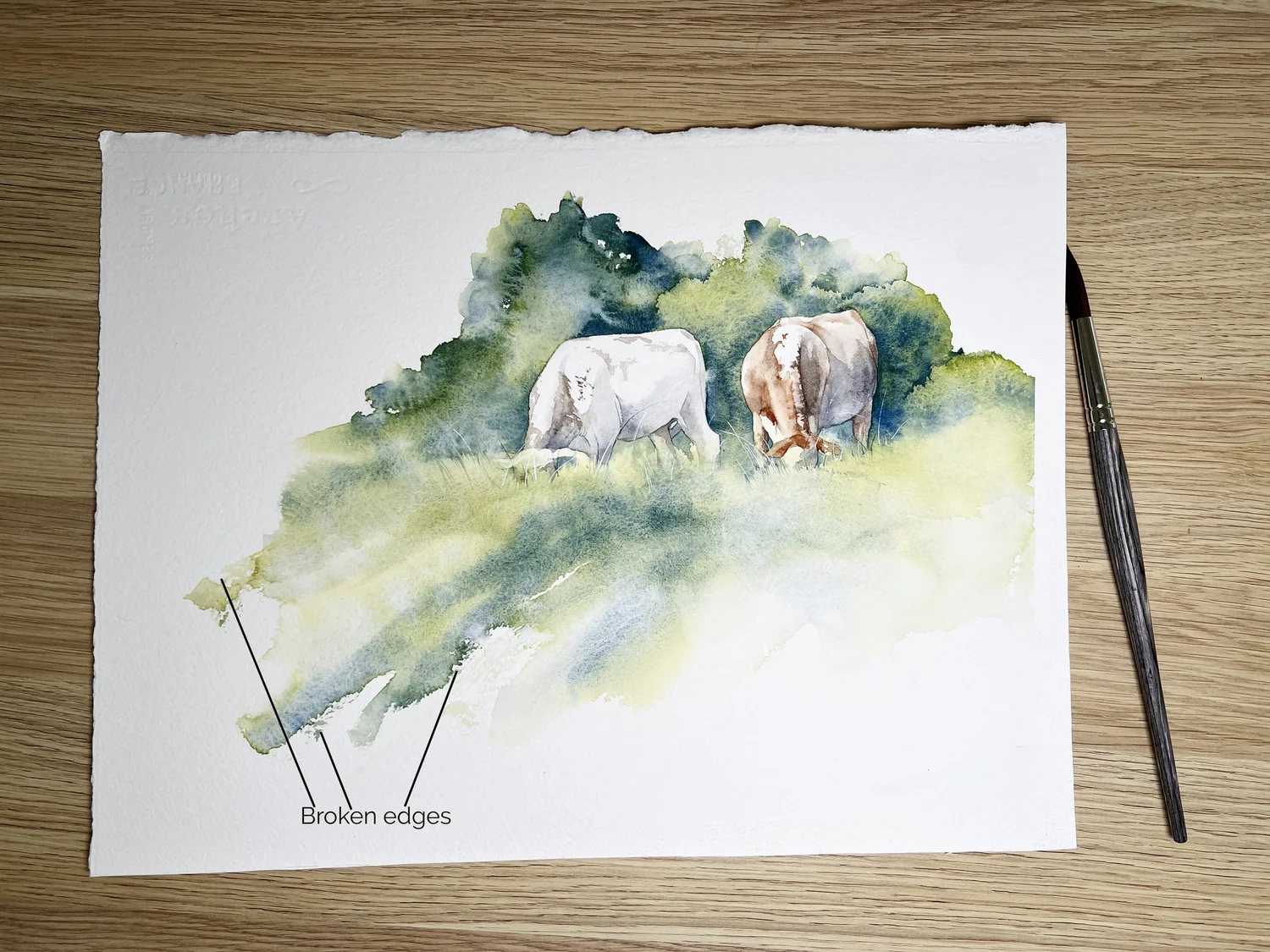 How to Paint Hard and Soft Edges in Watercolour — Louise De Masi ...