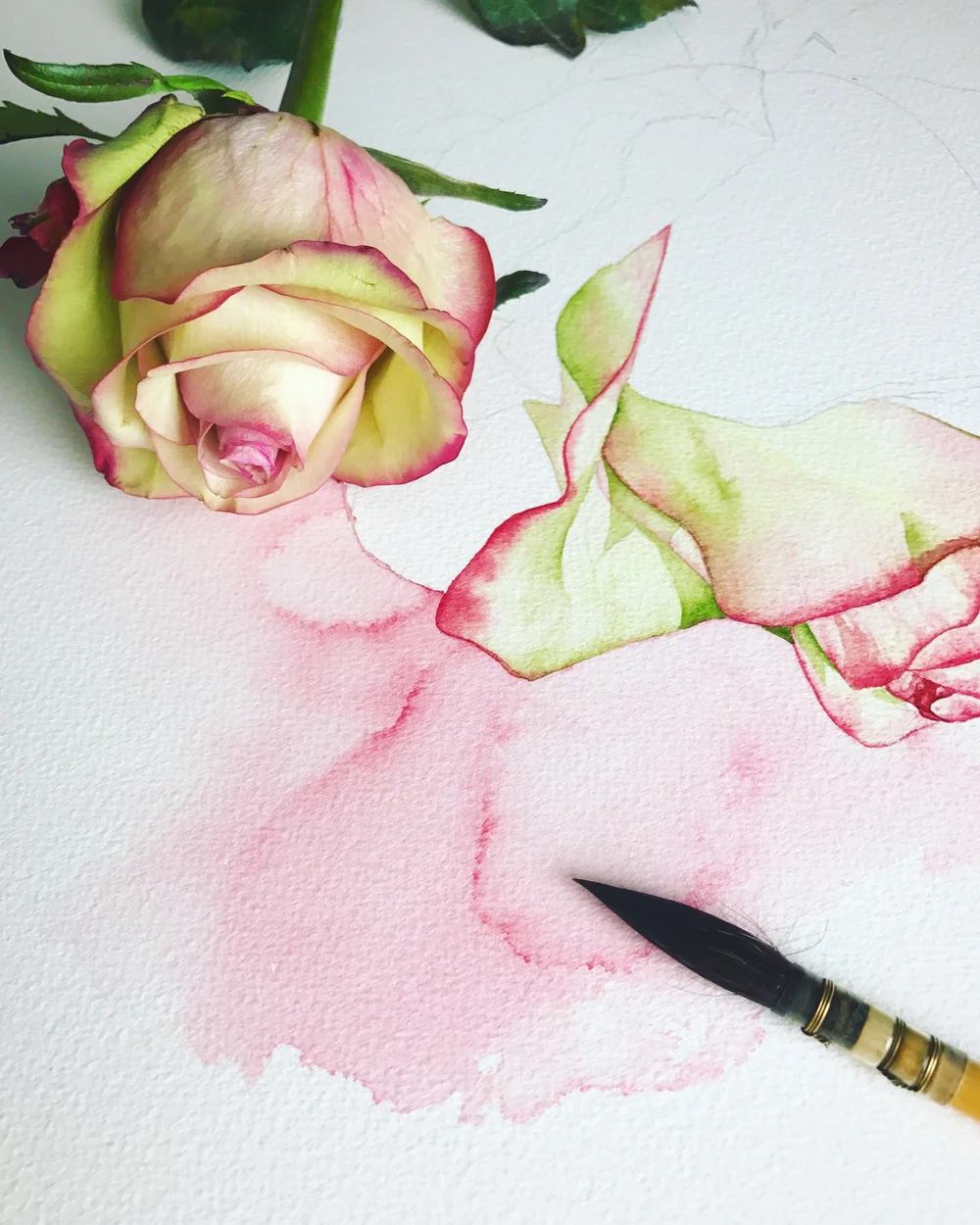 How to Start Watercolor Painting – First Steps for Beginners — Louise ...