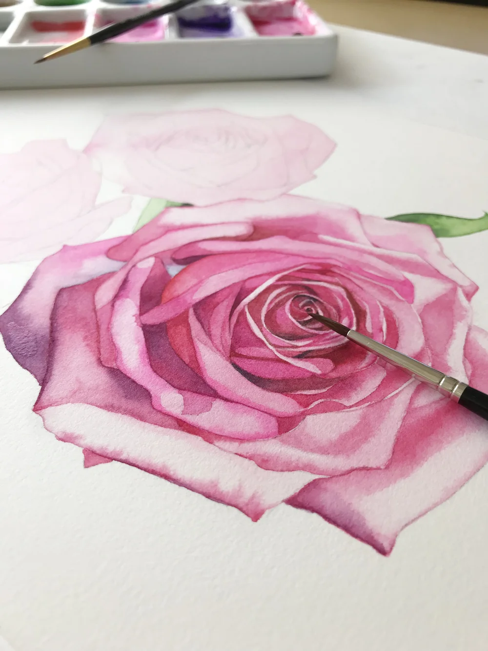 Wet on Dry watercolour technique — Louise De Masi Watercolour Artist